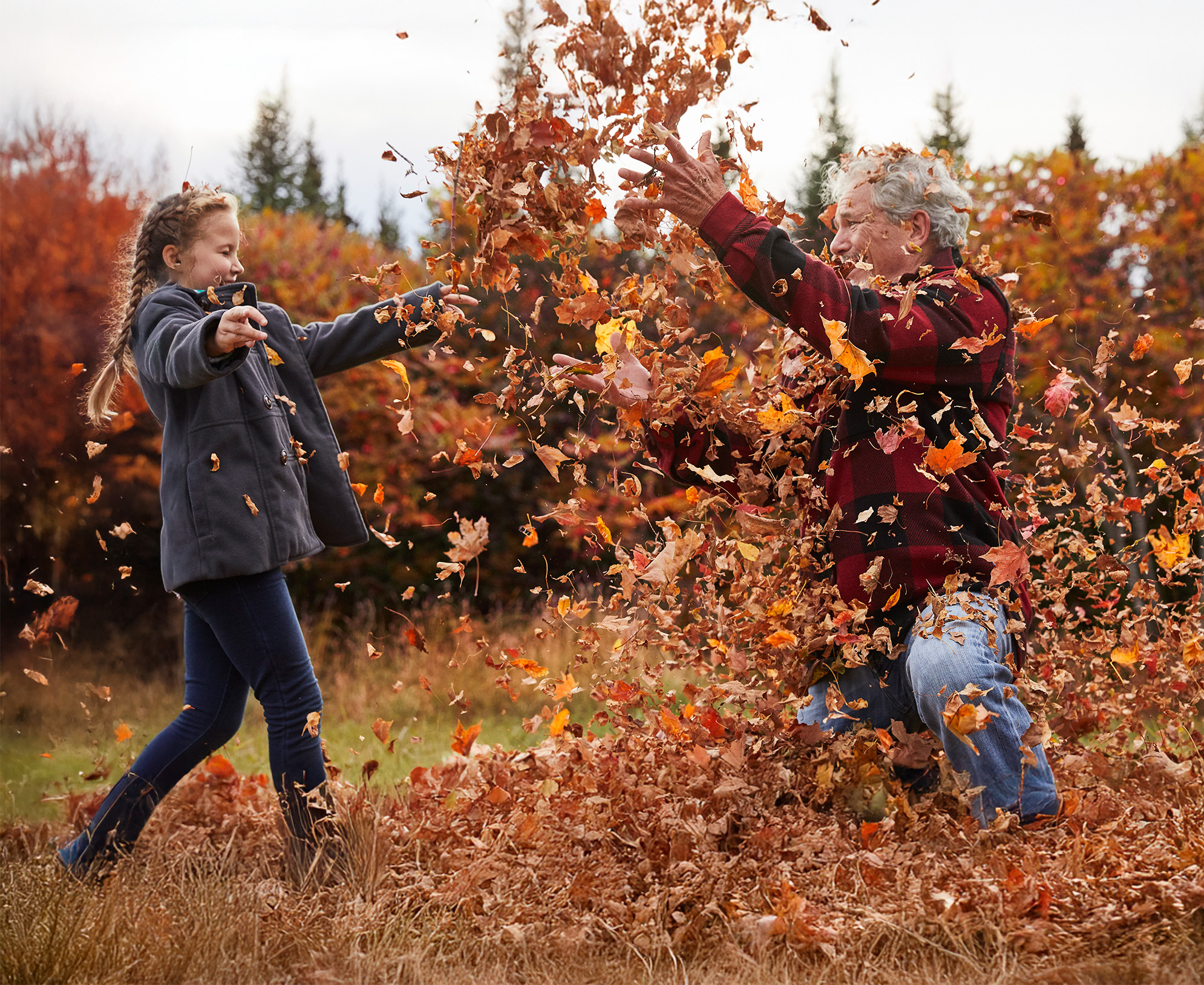 Health Insurance in Texas | Blue Cross and Blue Shield of Texas